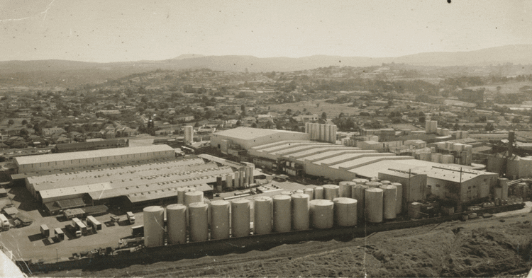 Our History – The Willowton Group